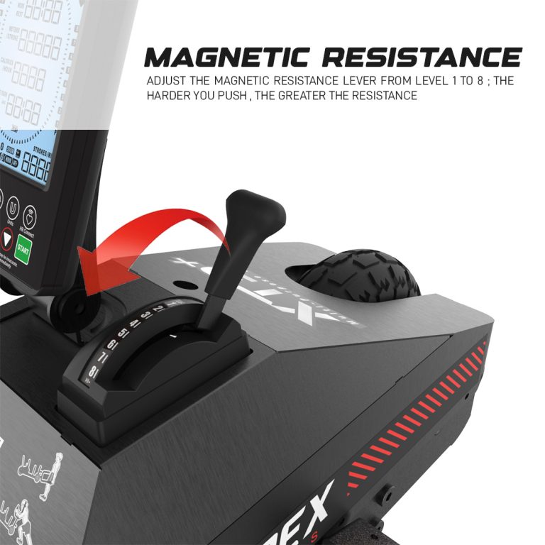 XEBEX FITNESS XT3V2 SLED - XEBEX FITNESS