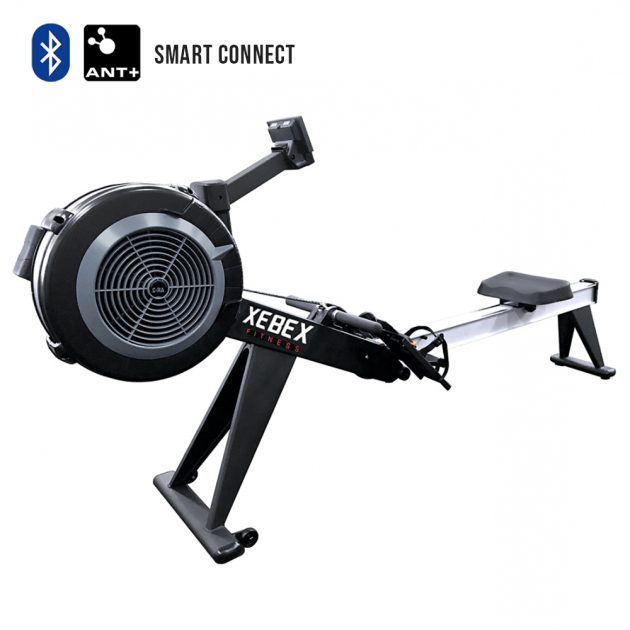 Shop - XEBEX FITNESS